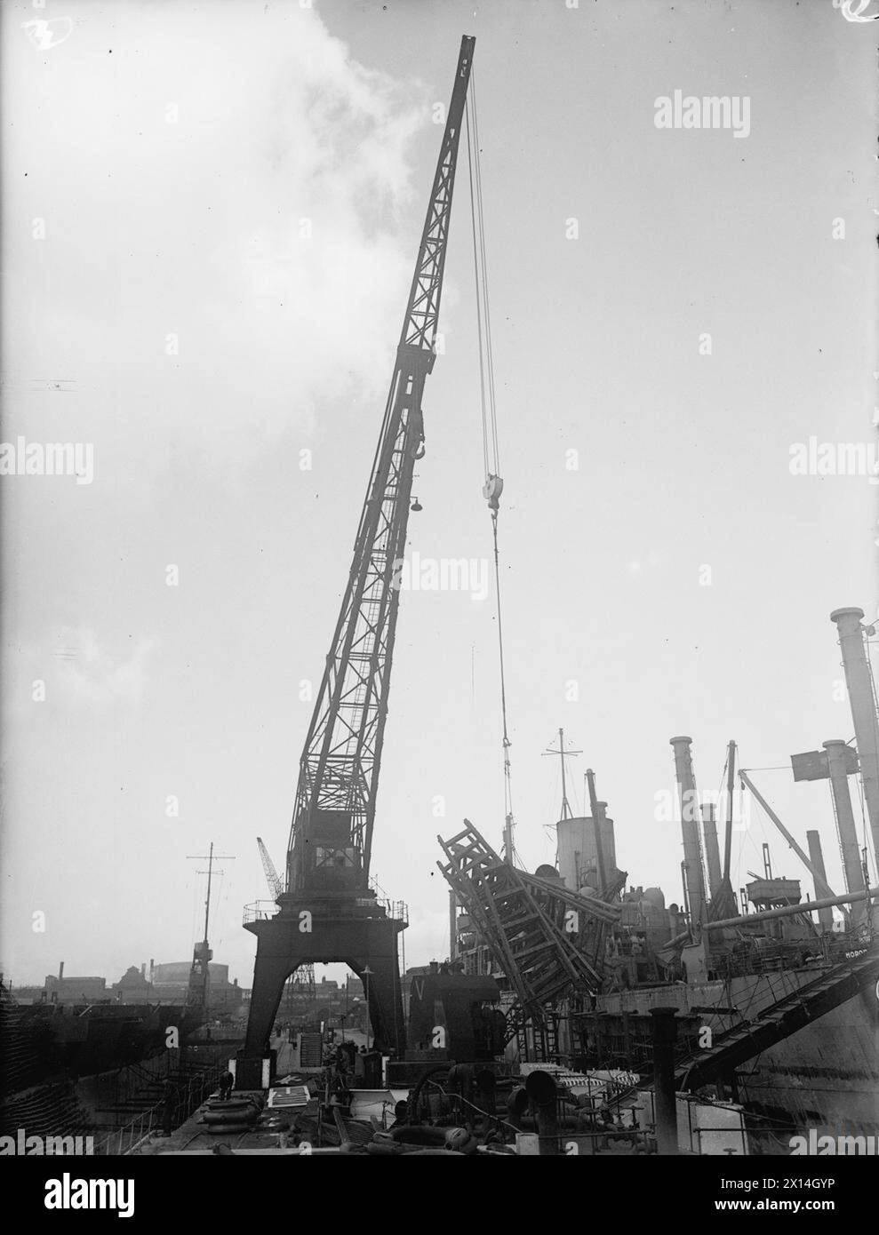 Feet types hi-res stock photography and images - Alamy