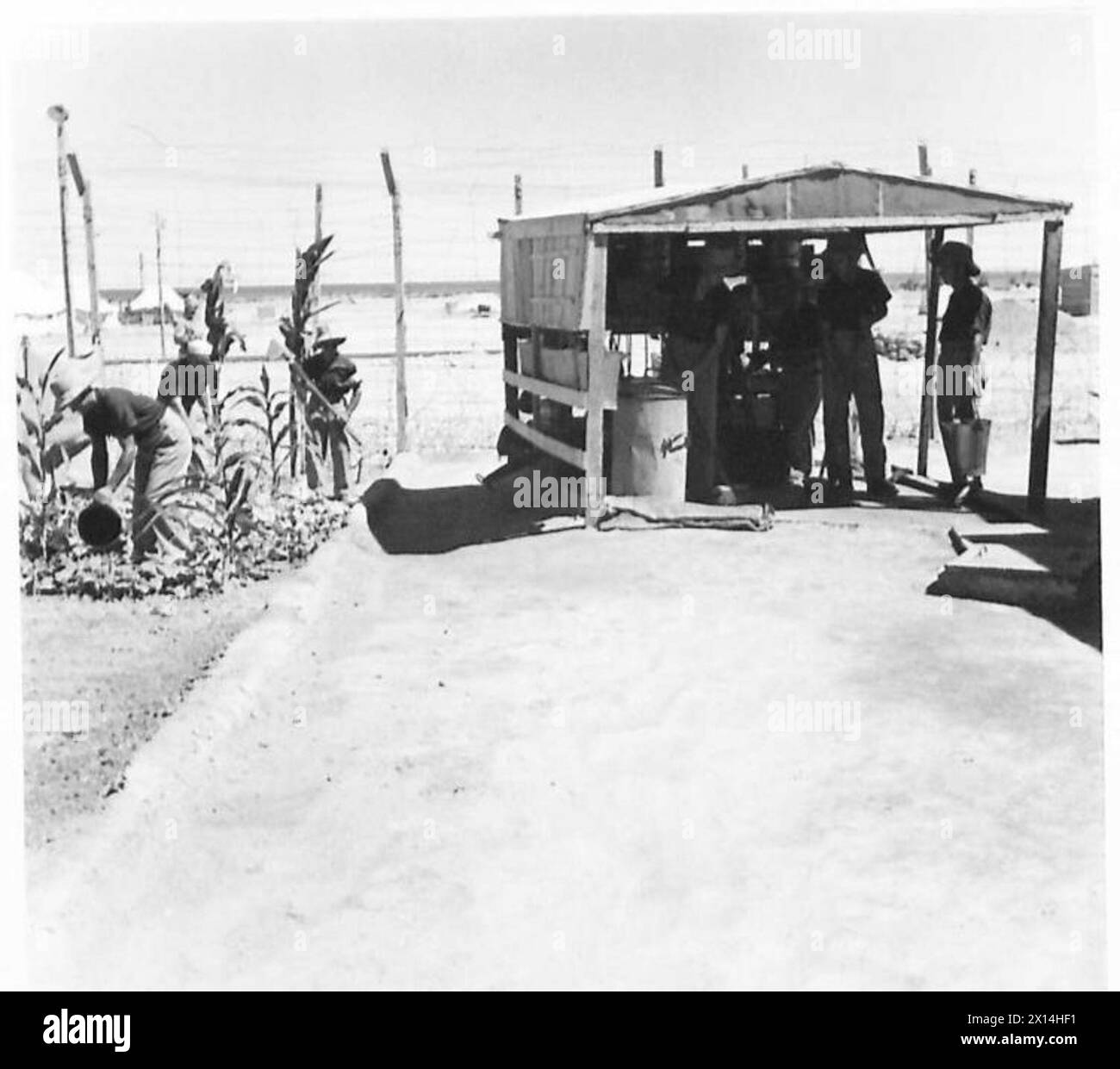 DAILY ROUTINE AT PRISONERS OF WAR CAMP IN WESTERN DESERT - A small ...