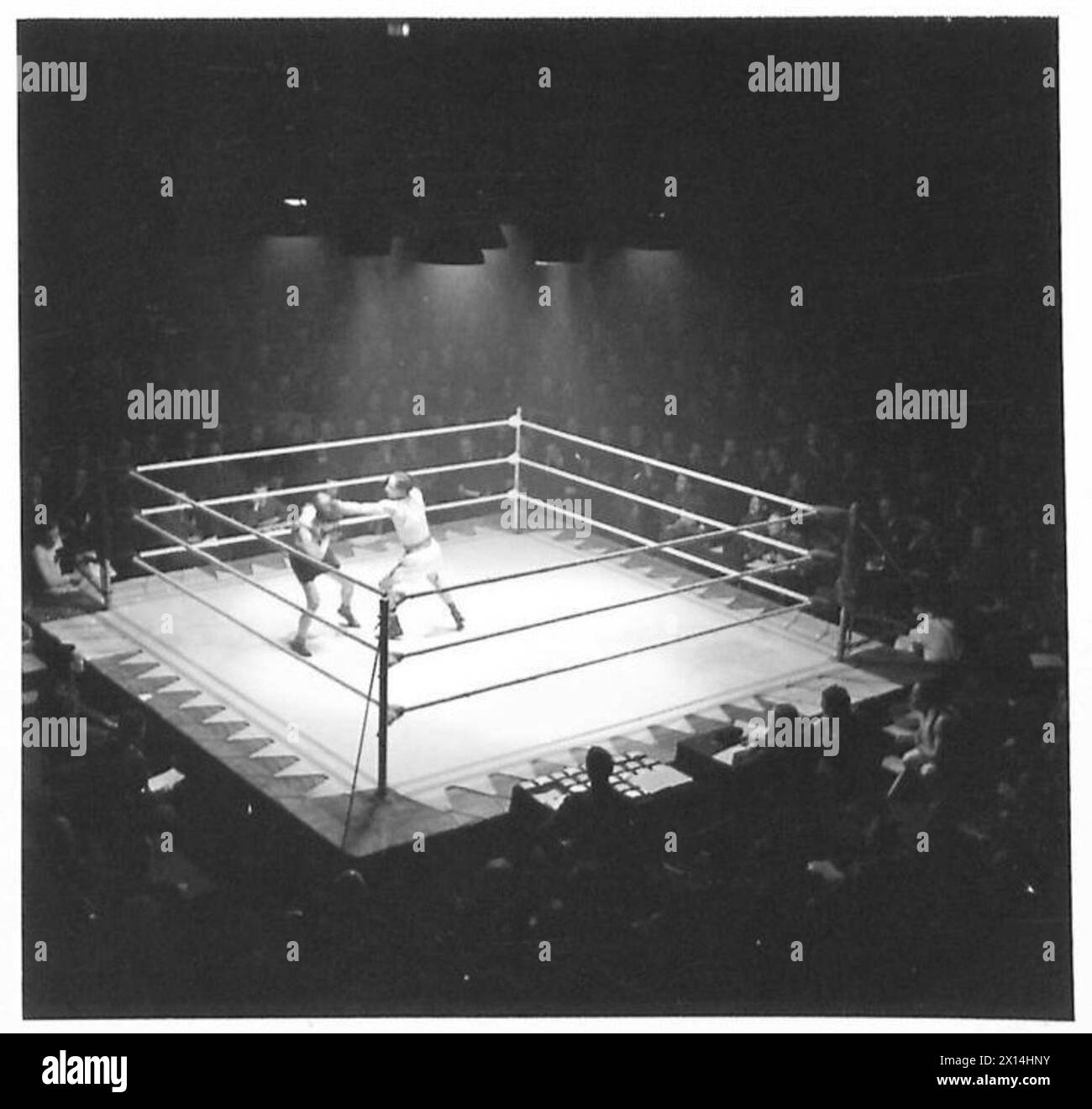 Amateur final Cut Out Stock Images & Pictures - Alamy