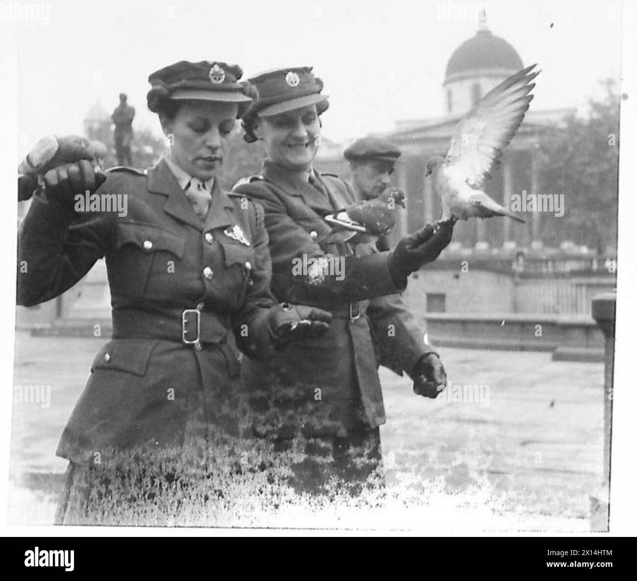 Sgt. Major sisters visit Trafalgar Square in London, interacting with ...