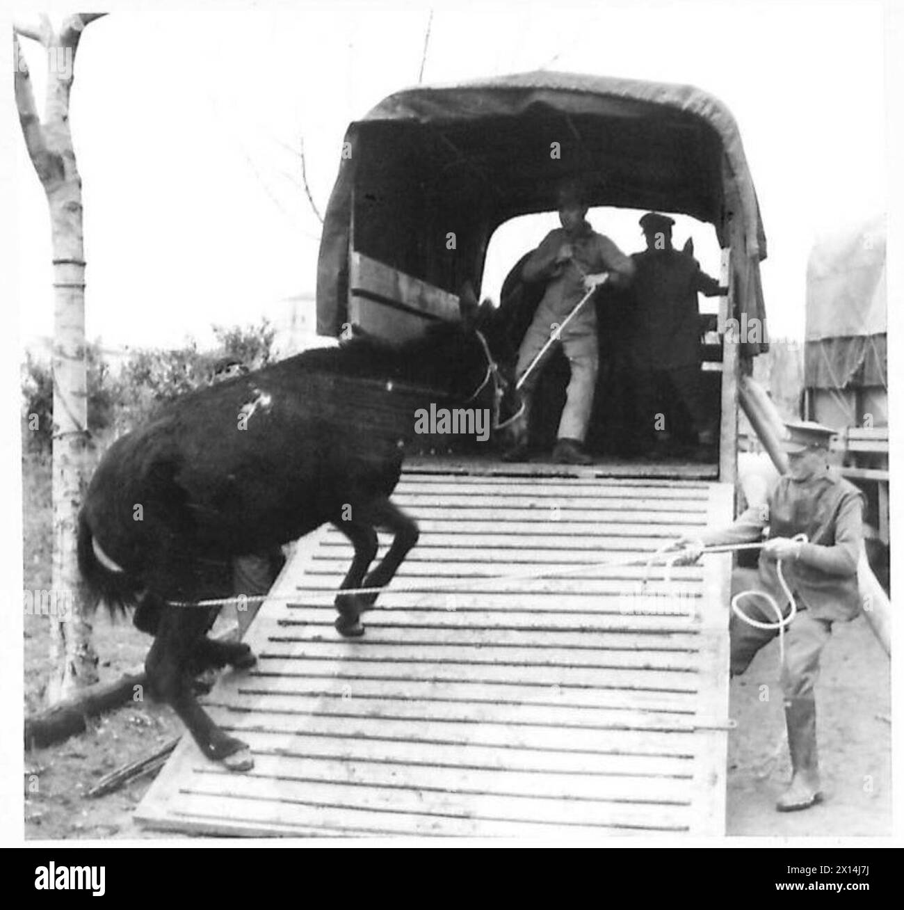 Infantry handling Black and White Stock Photos & Images - Alamy
