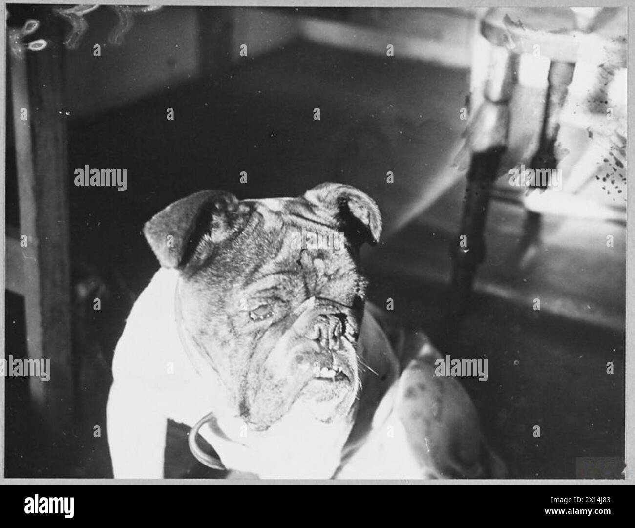 Britain camaraderie world war ii hi-res stock photography and images ...