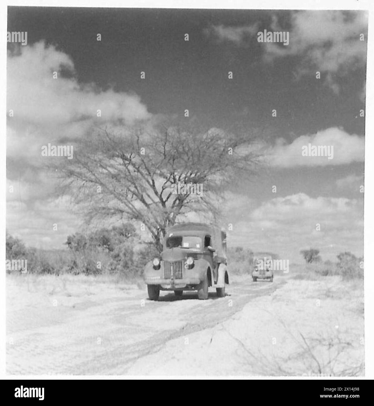 Liboi hi-res stock photography and images - Alamy