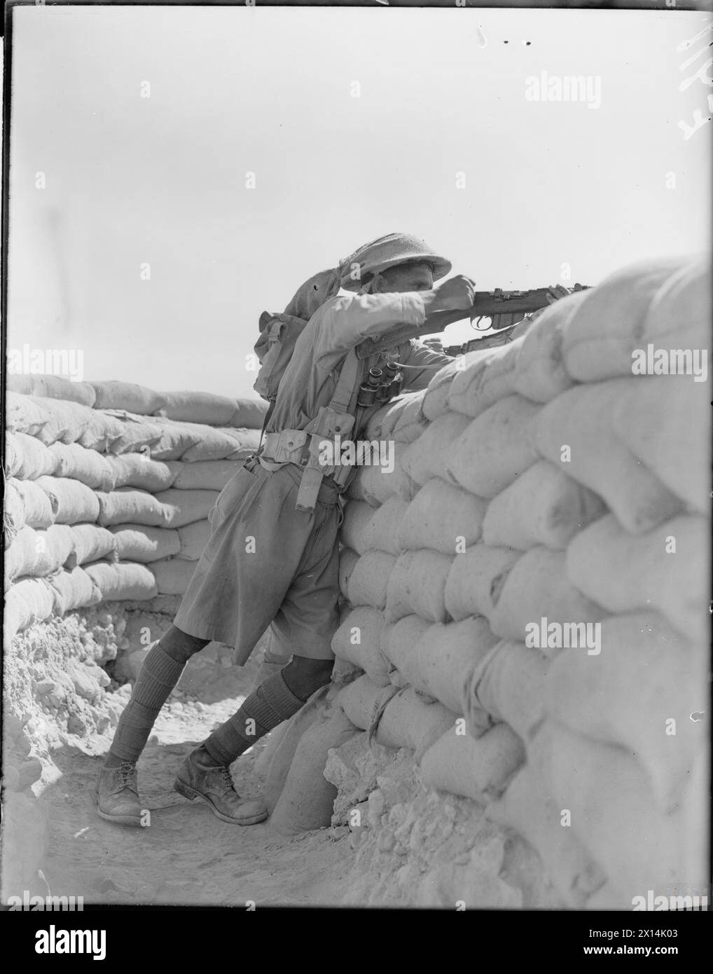 PHOTOGRAPHS OF AN INDIAN DIVISION IN THE WESTERN DESERT - Indian Rifle ...