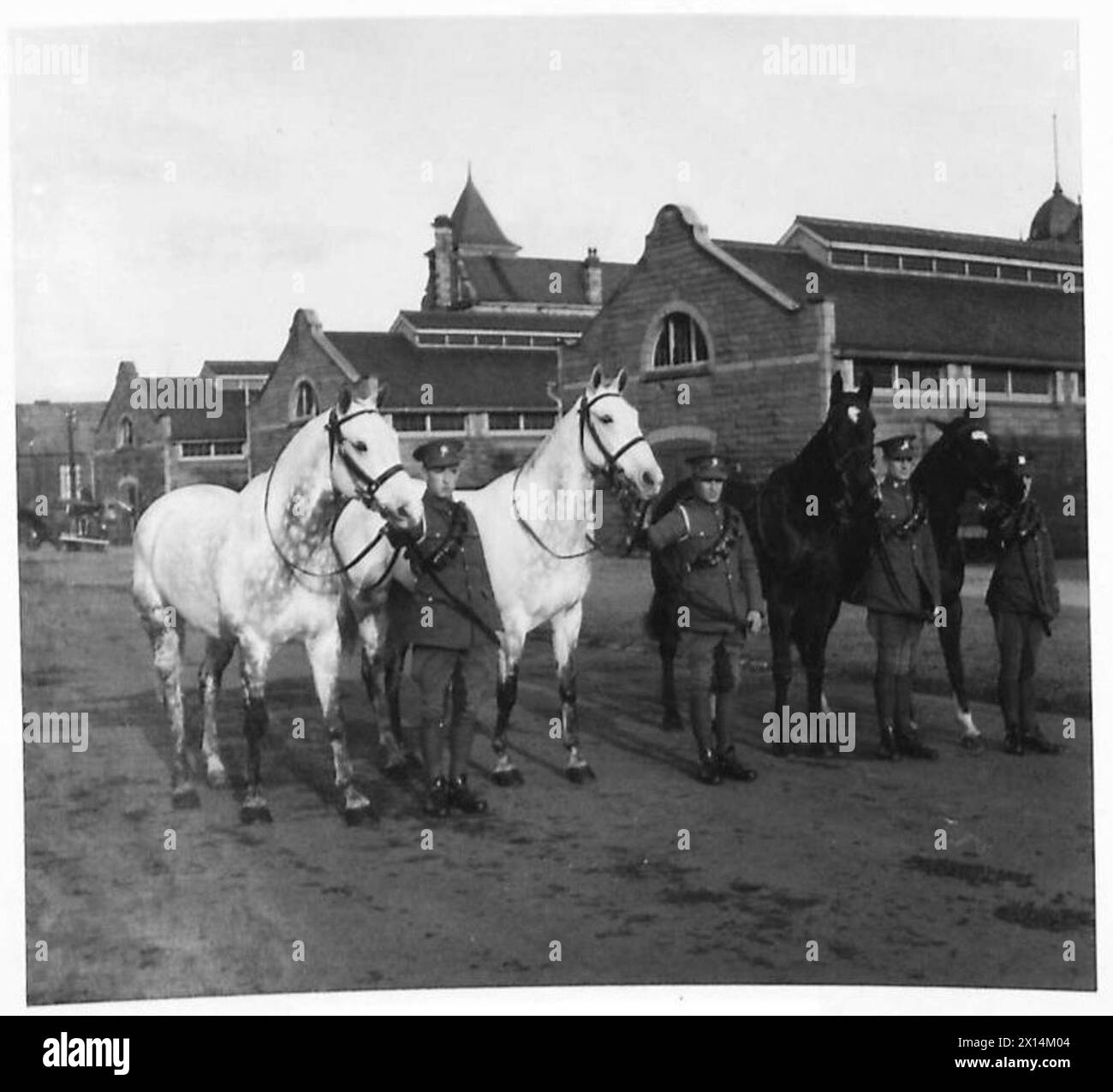British cavalry training Black and White Stock Photos & Images - Alamy