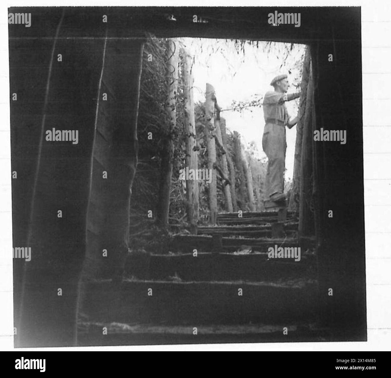 A specially prepared infantry position in the Gothic Line features ...