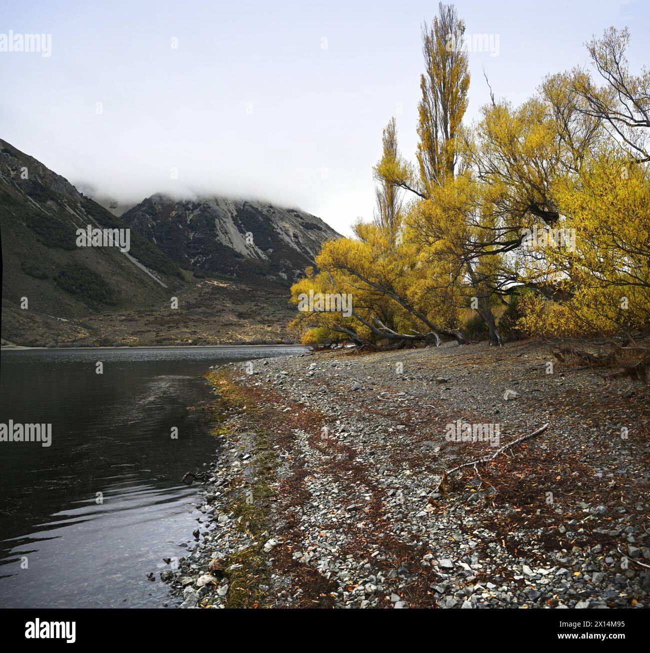 Shoreline of Lake Pearson, Canterbury, New Zealand in Autumn with ...