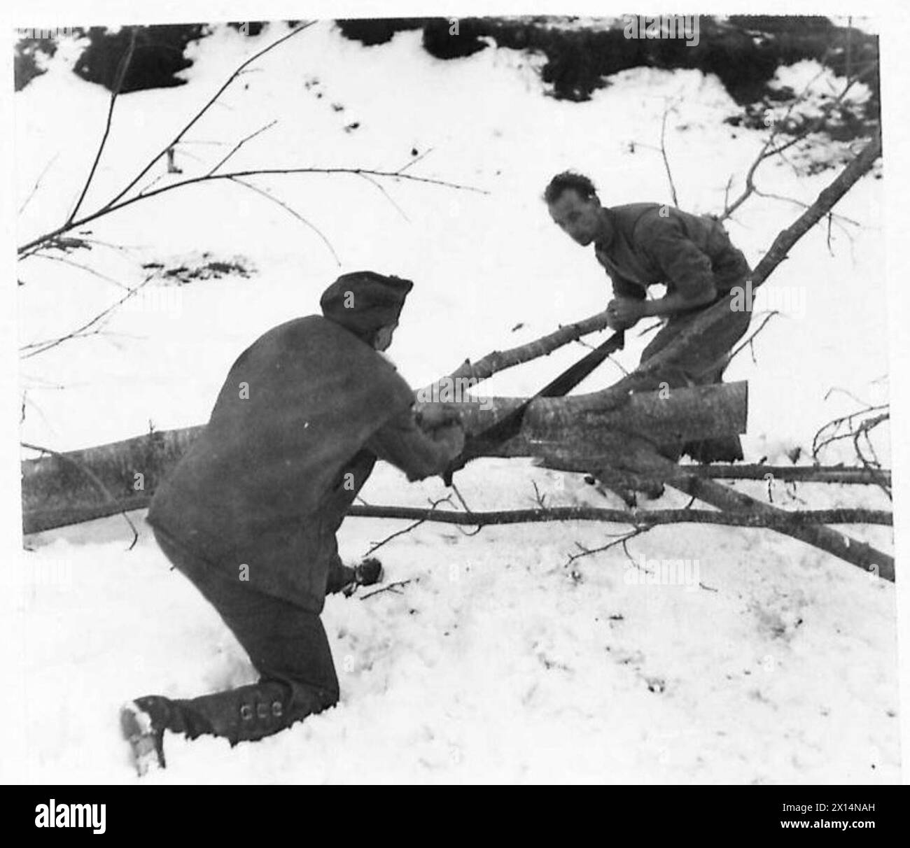 Saw logs Black and White Stock Photos & Images - Alamy