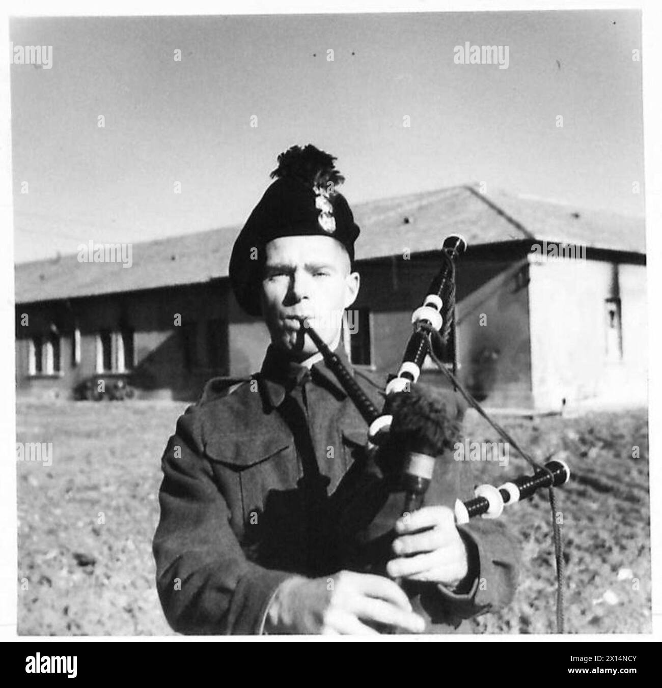 EIGHTH ARMY PERSONALITIES - Piper Edward Wilson of 24 Georges Street ...