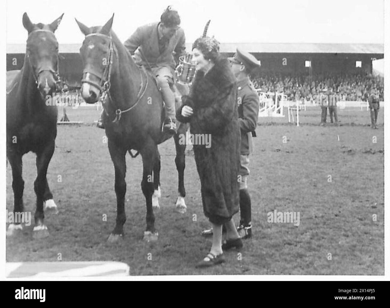 MILITARY TOURNAMENT IN NORTHERN COMMAND - Duchess of Portland ...