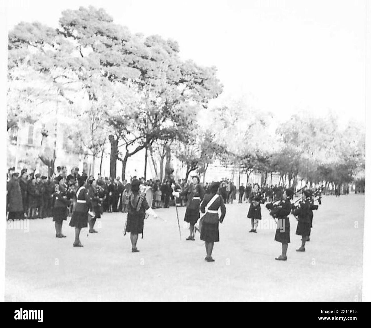 Army drum major Black and White Stock Photos & Images - Alamy