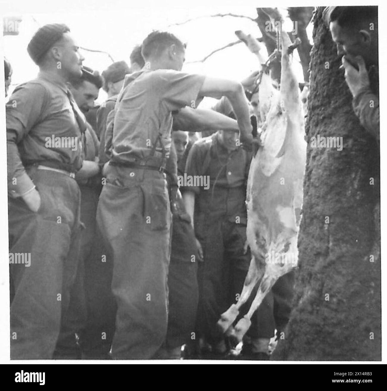 Soldiers carrying rations hi-res stock photography and images - Alamy