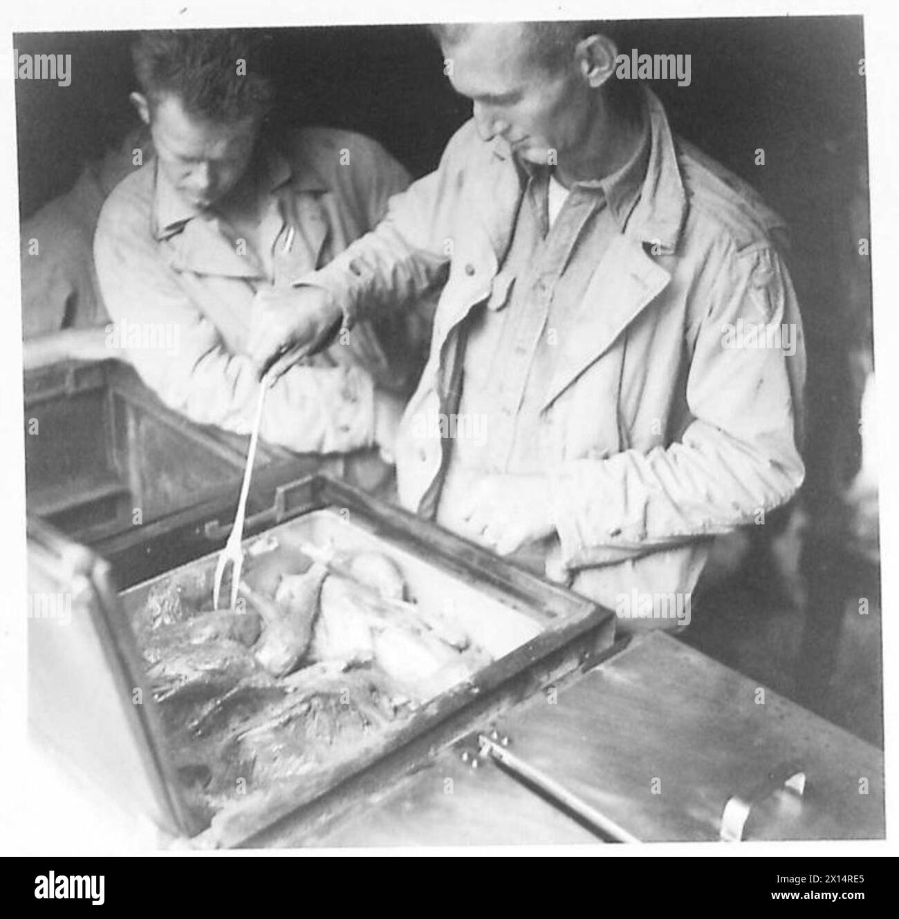 American cook prepares poultry hi-res stock photography and images - Alamy