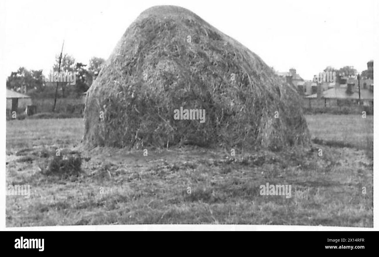 Octagonal brick base Black and White Stock Photos & Images - Alamy