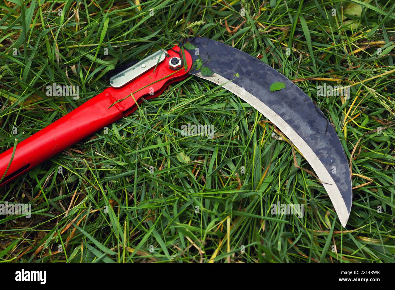 The Vibrant Green Grass With Manual Small Scythe. Gardening With Sharp ...