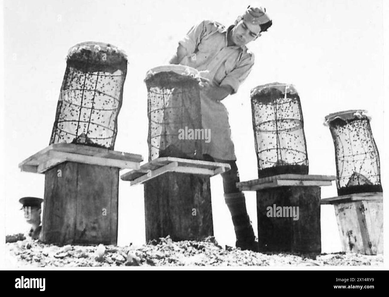 "KILL THAT FLY" - Setting the traps , British Army Stock Photo - Alamy