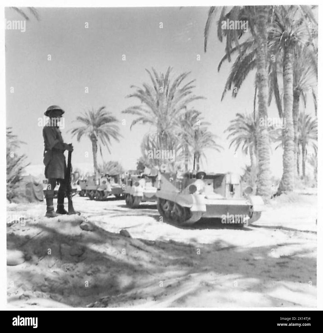 BREN GUN CARRIERS AMONG THE PALMS - Bren gun carriers of a South ...