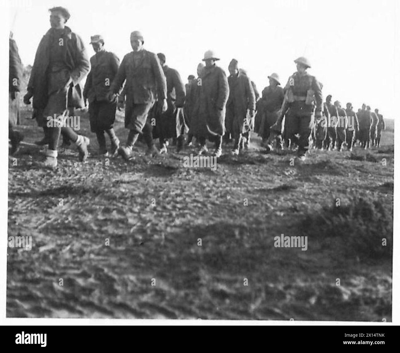 Infantry soldiers line in Cut Out Stock Images & Pictures - Alamy