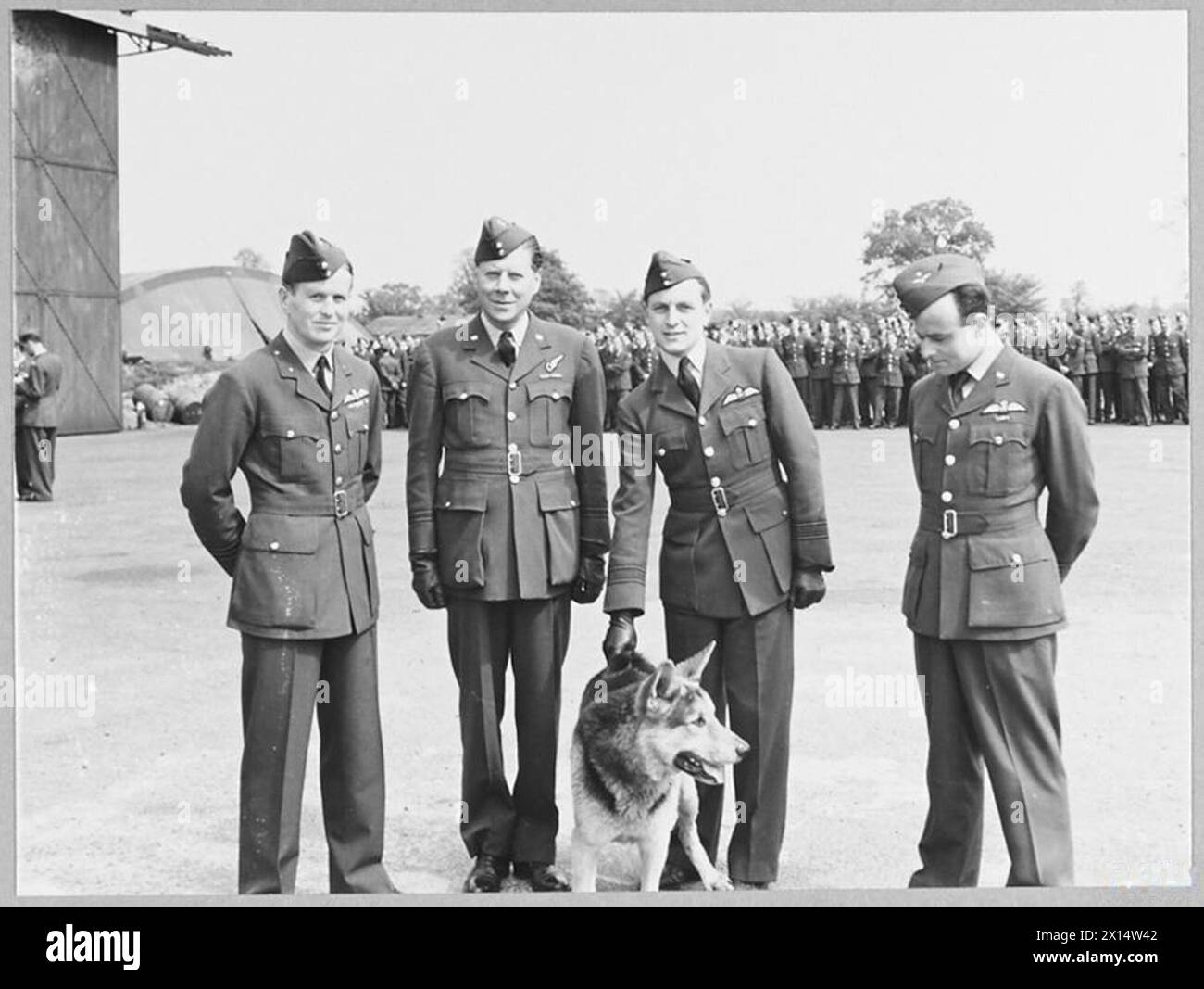 Wing Commander J. Cunningham, Flight Lieutenant T.J. Molony, Squadron ...