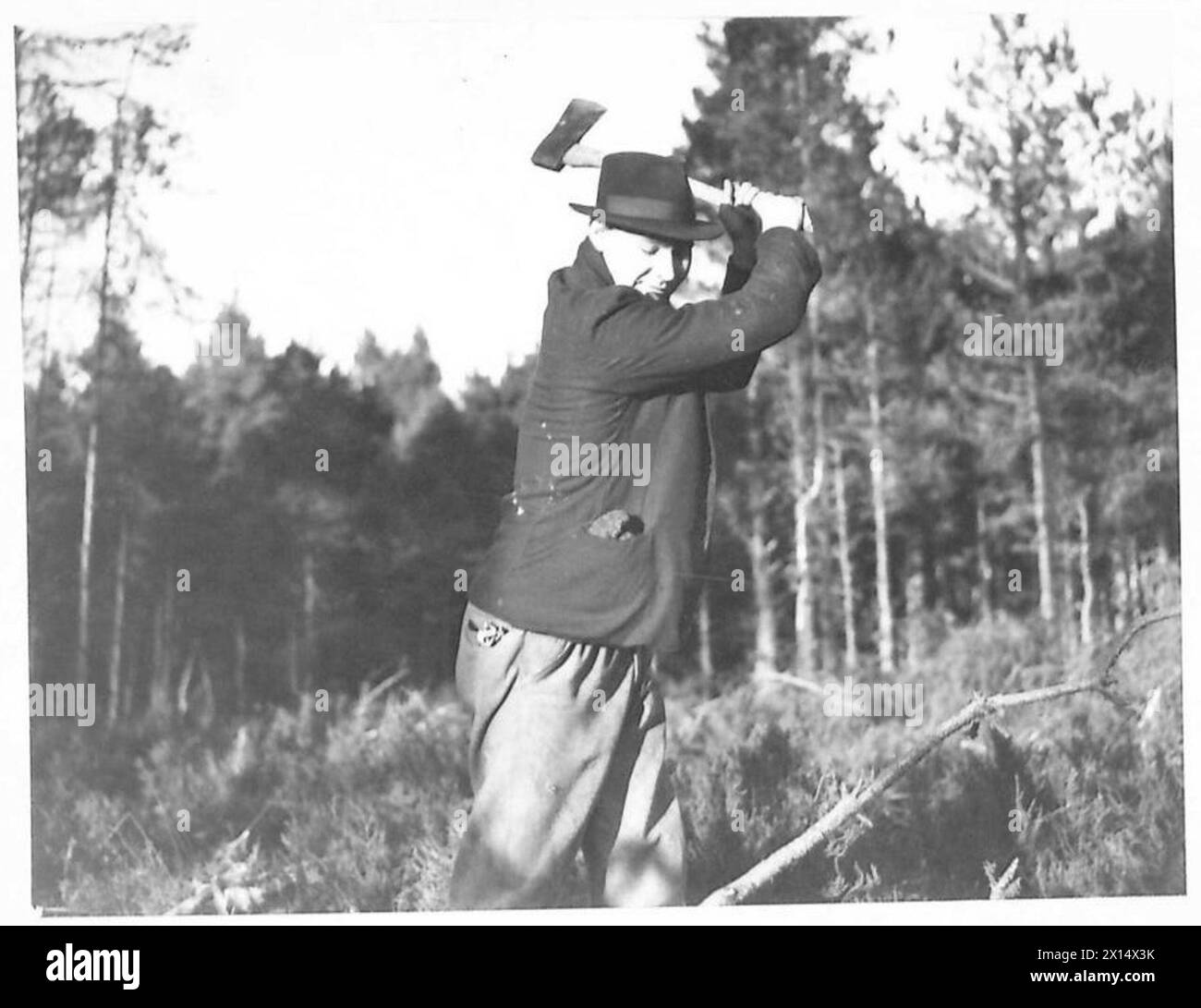 Newfoundland loggers are documented at Carbridge in Scotland, showing ...