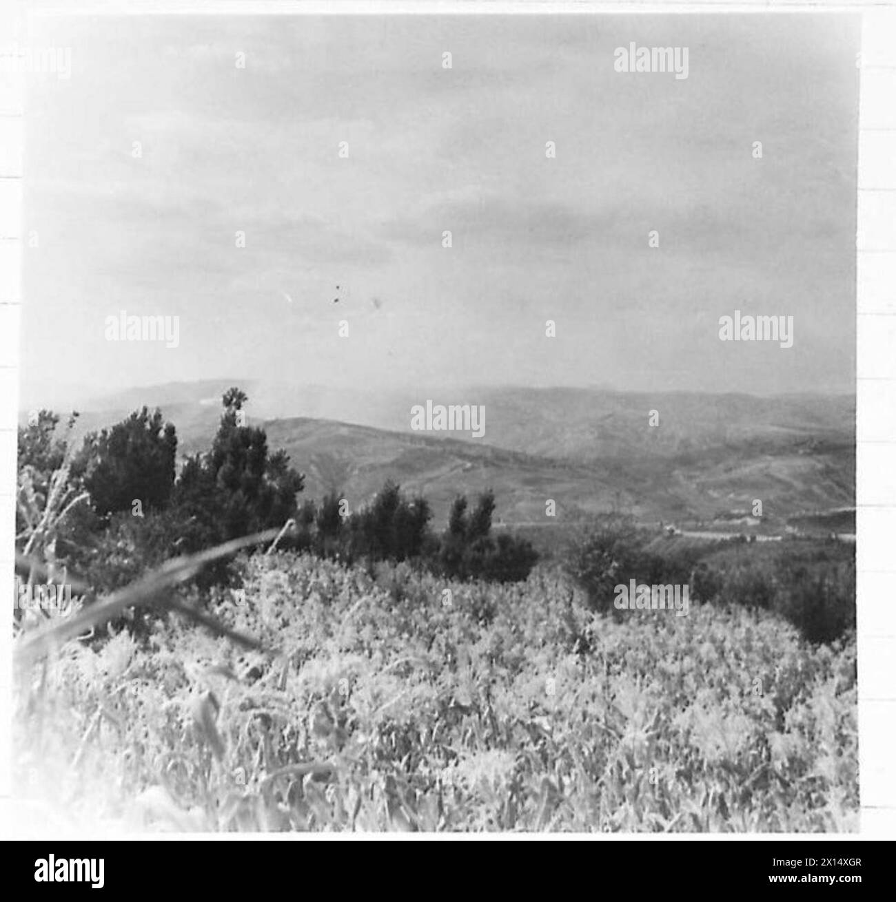 EIGHTH ARMY : IN SIGHT OF THE GOTHIC LINE - (join up) The Gothic Line ...