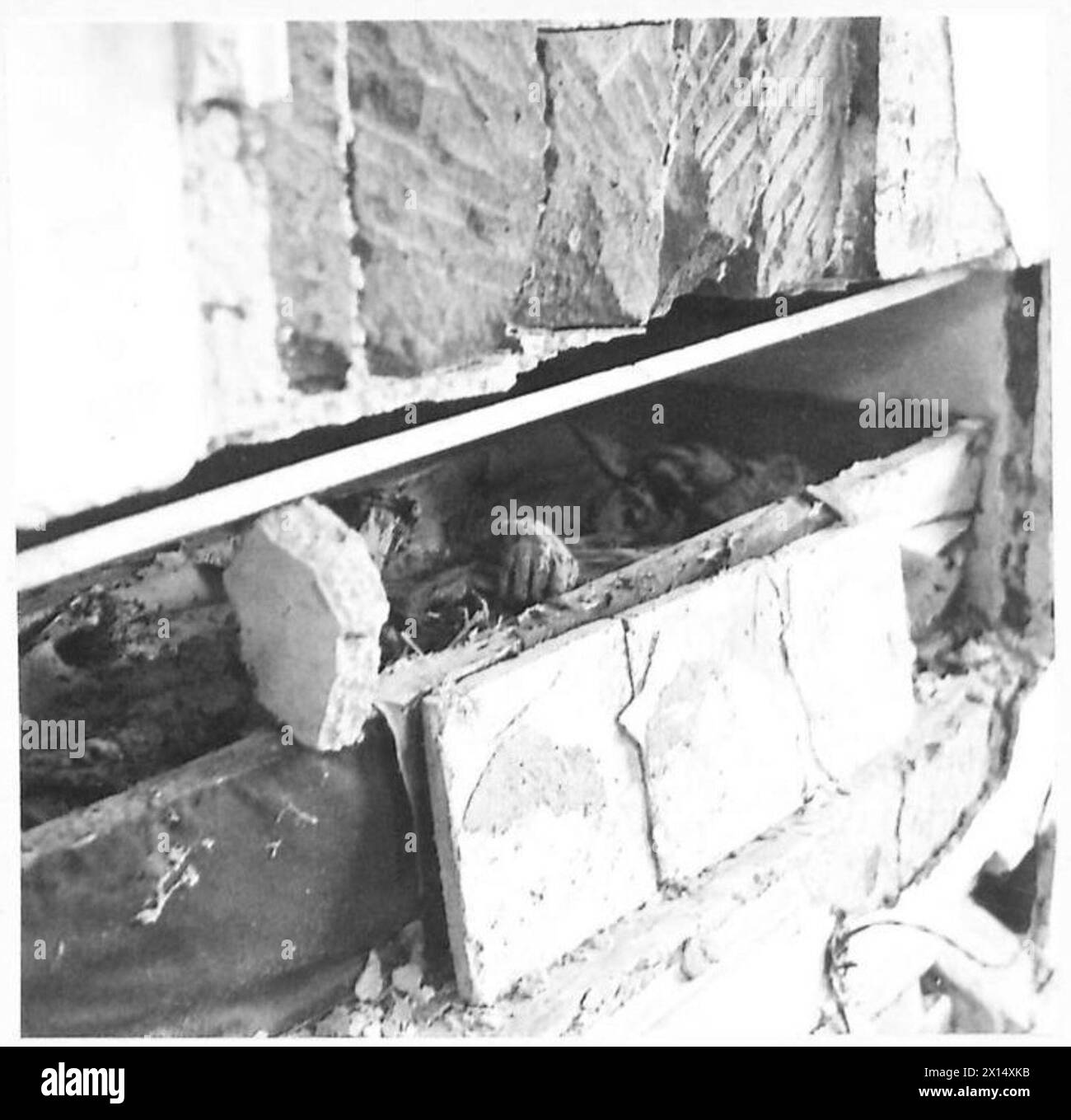 Photographs show german army hi-res stock photography and images - Alamy