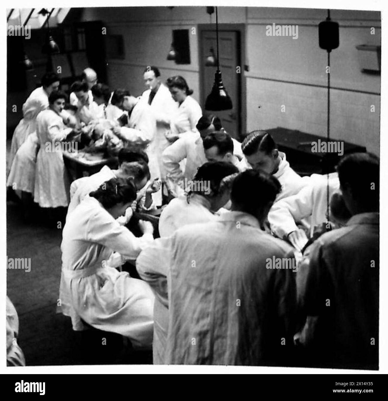 Graduate lessons Cut Out Stock Images & Pictures - Alamy