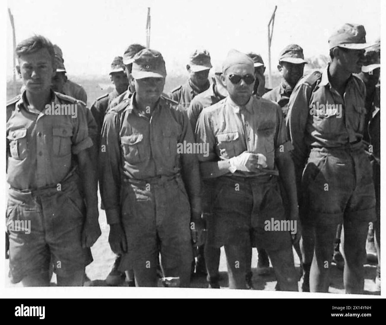 German prisoners of war lined up in a POW camp in the Western Desert ...