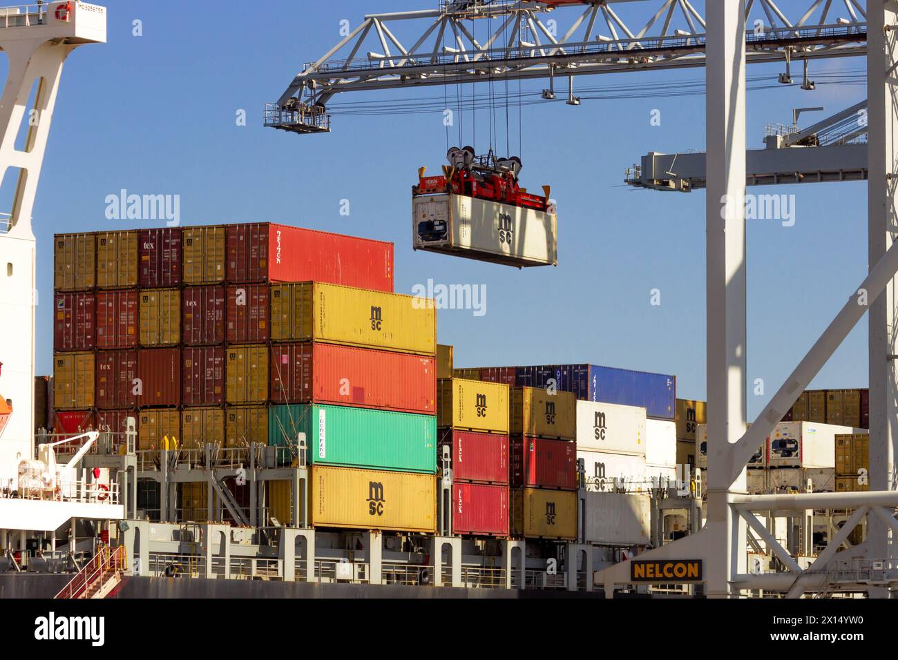 Container ship loaded by gantry cranes in the Port of Rotterdam. The ...