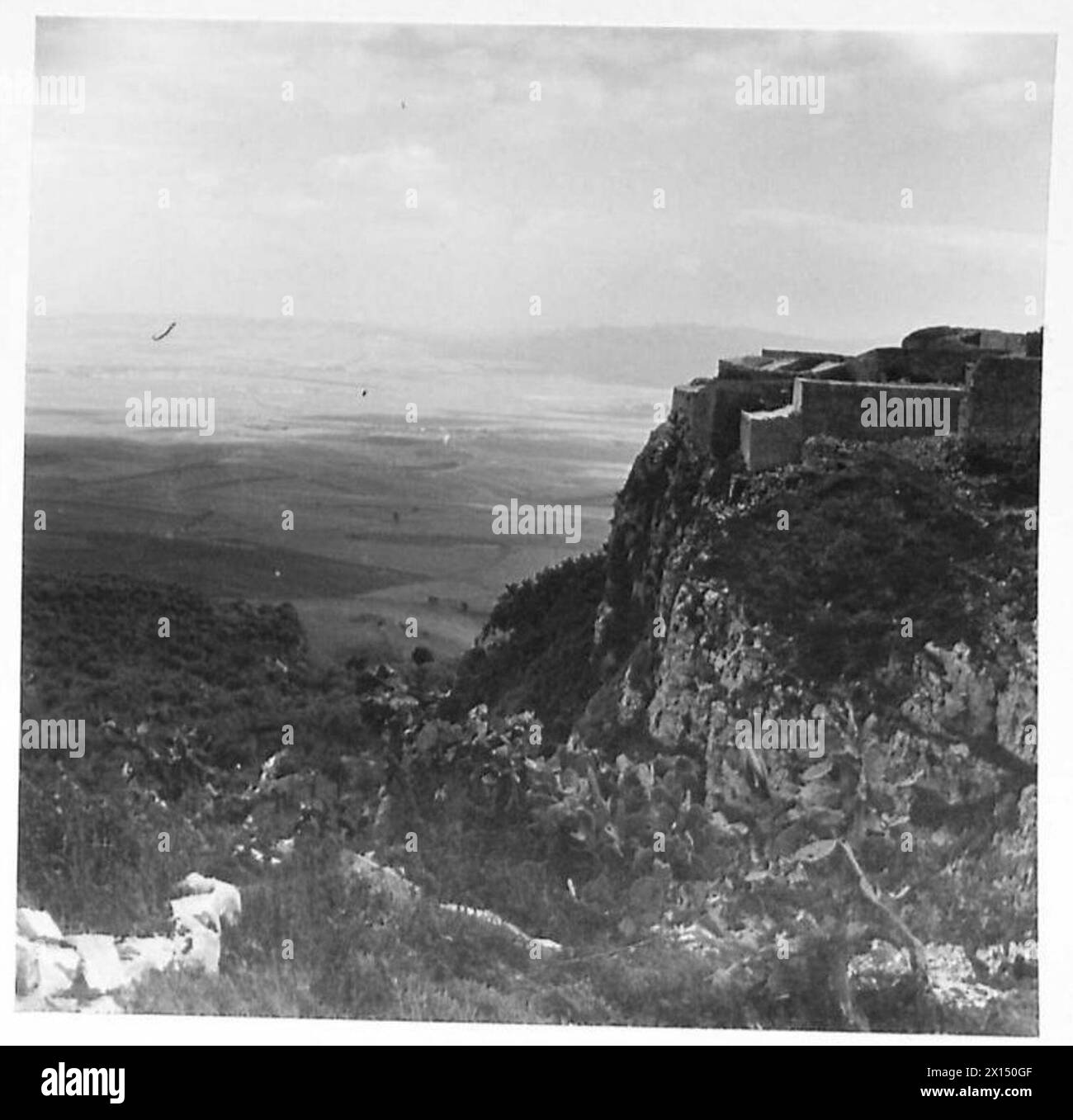 AFTERMATH OF THE FIRST ARMY ATTACK ON TOUKABEUR AND CHAOUACH - This ...