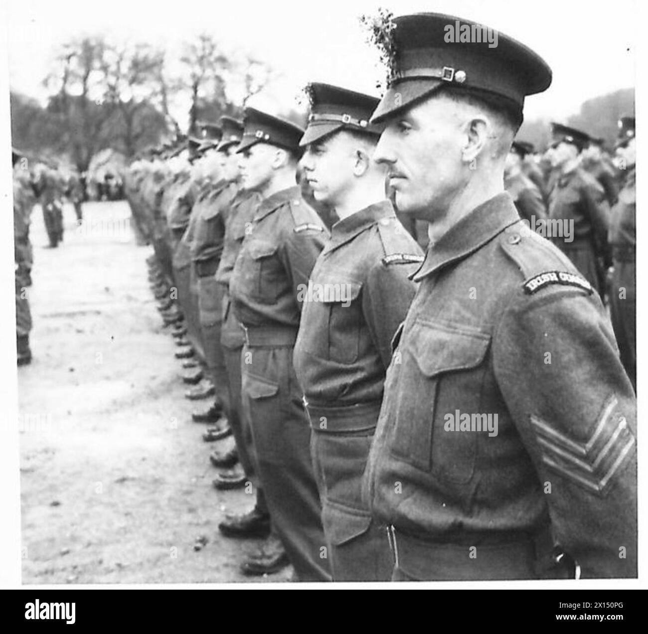 Members of the Irish Guards are shown wearing shamrocks in their caps ...