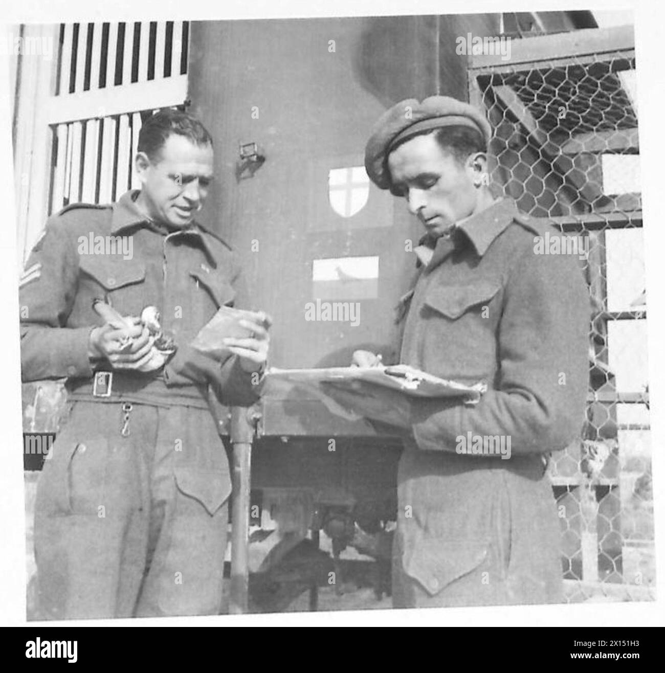 8TH ARMY CARRIER PIGEON SERVICE - The message is removed from a bird's ...