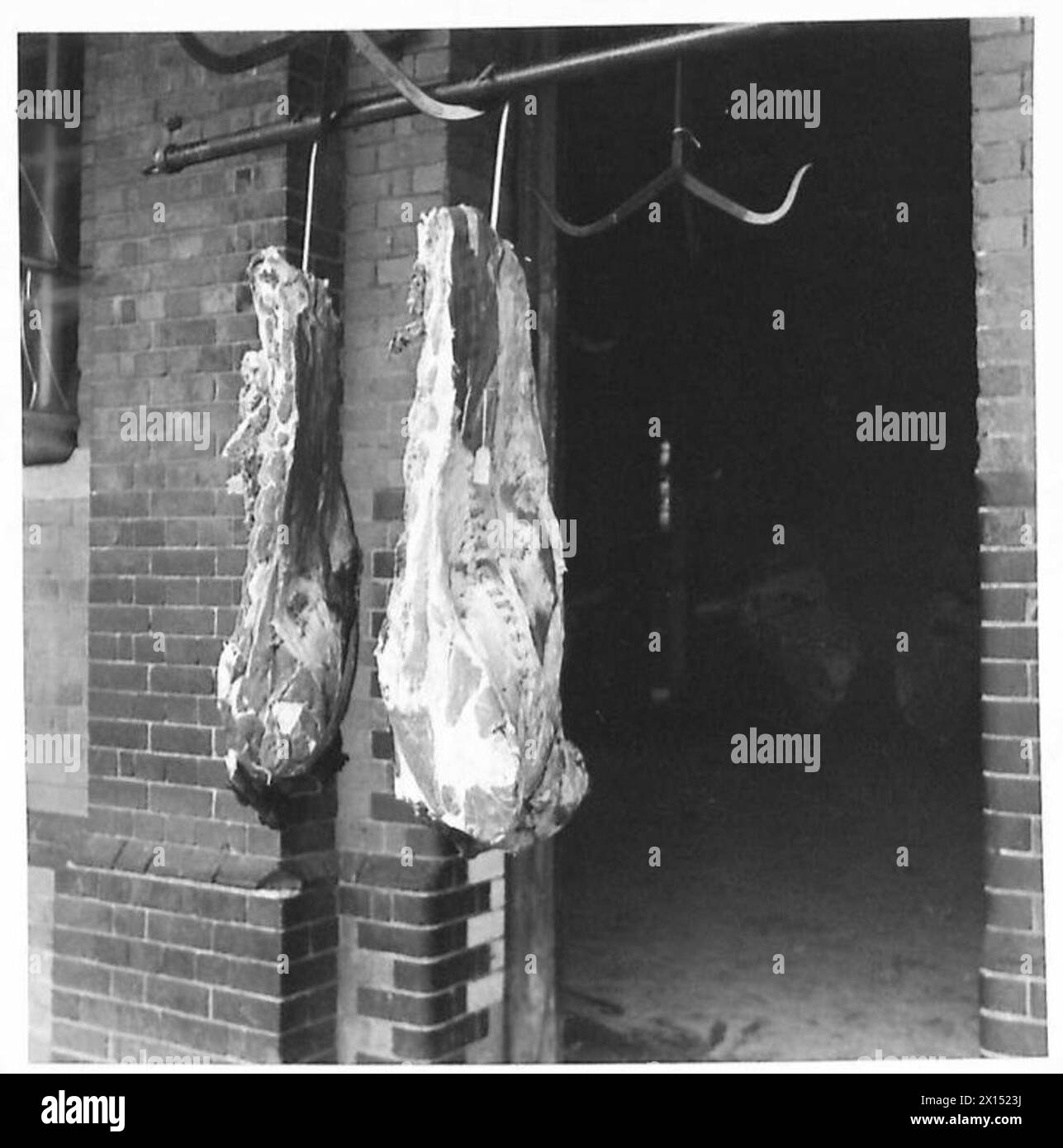 In process quality assessment Cut Out Stock Images & Pictures - Alamy