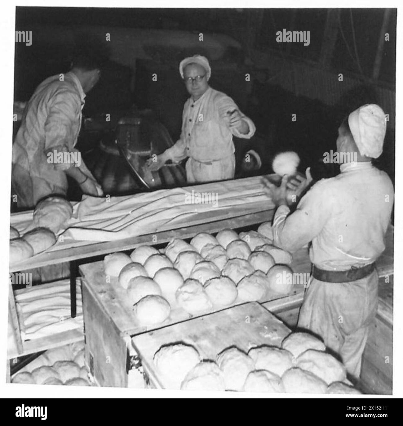 MOBILE FIELD BAKERY - Moulded dough from the divider machine ready for ...