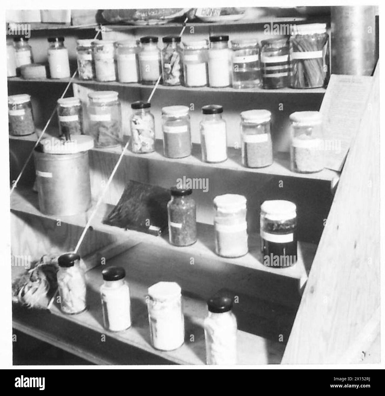 Conservation training Cut Out Stock Images & Pictures - Alamy