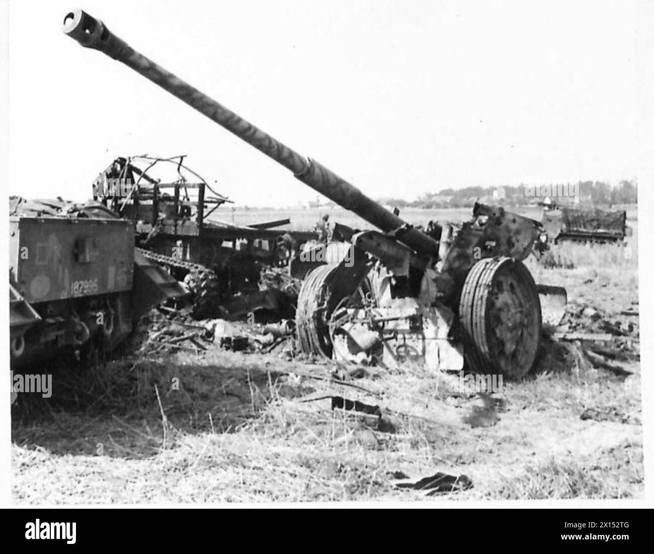 Polish defense forces Cut Out Stock Images & Pictures - Alamy