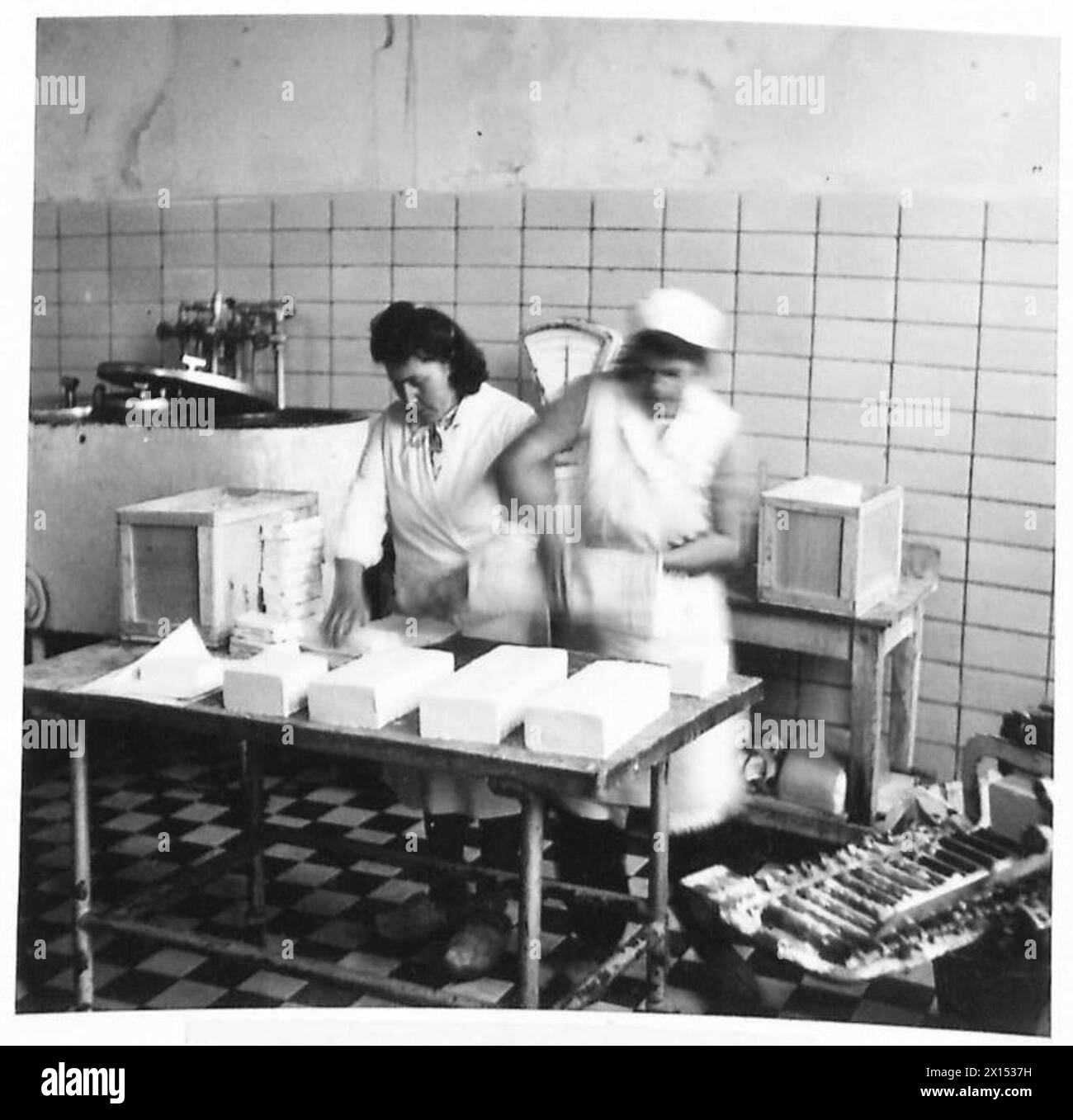 RESTORATION OF FOOD PRODUCTION IN A RHINE AREA IN GERMANY - Packing ...