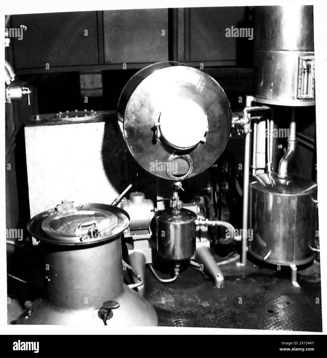 Second plant Cut Out Stock Images & Pictures - Alamy