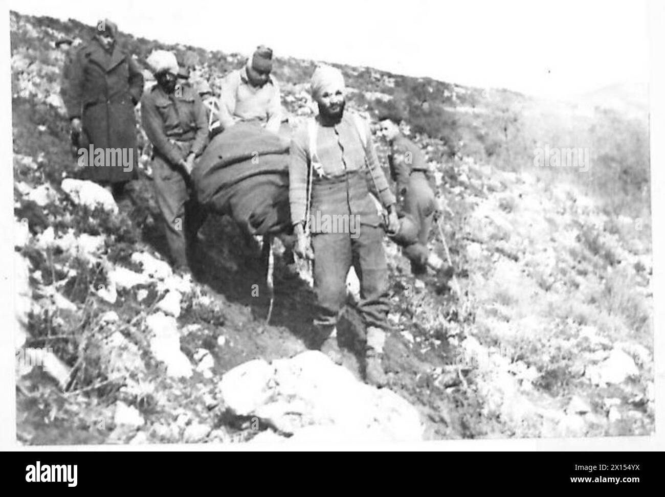 Mule tracks Cut Out Stock Images & Pictures - Alamy