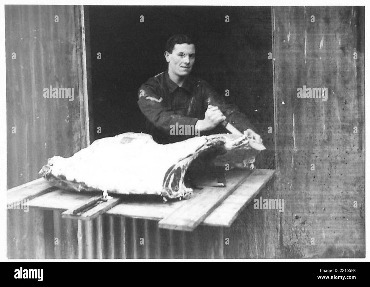 PREPARING RATIONS FOR THE TROOPS - A side of beef being cut by one of ...
