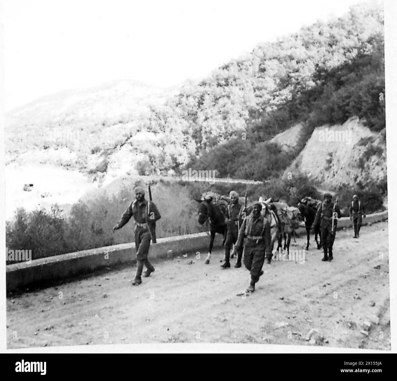 Mule royal indian army service hi-res stock photography and images - Alamy