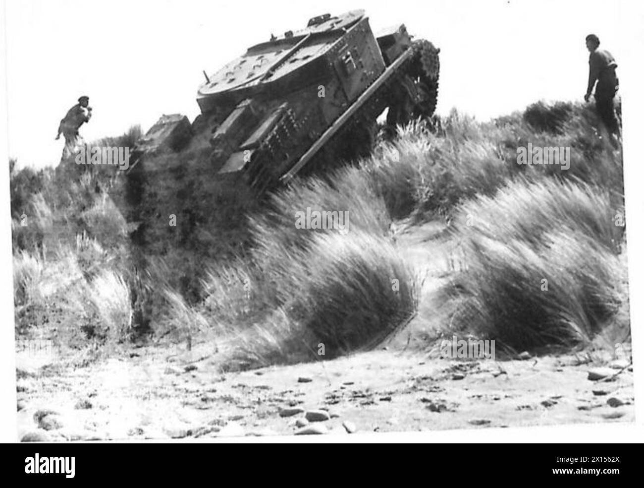 Tank experiments Cut Out Stock Images & Pictures - Alamy