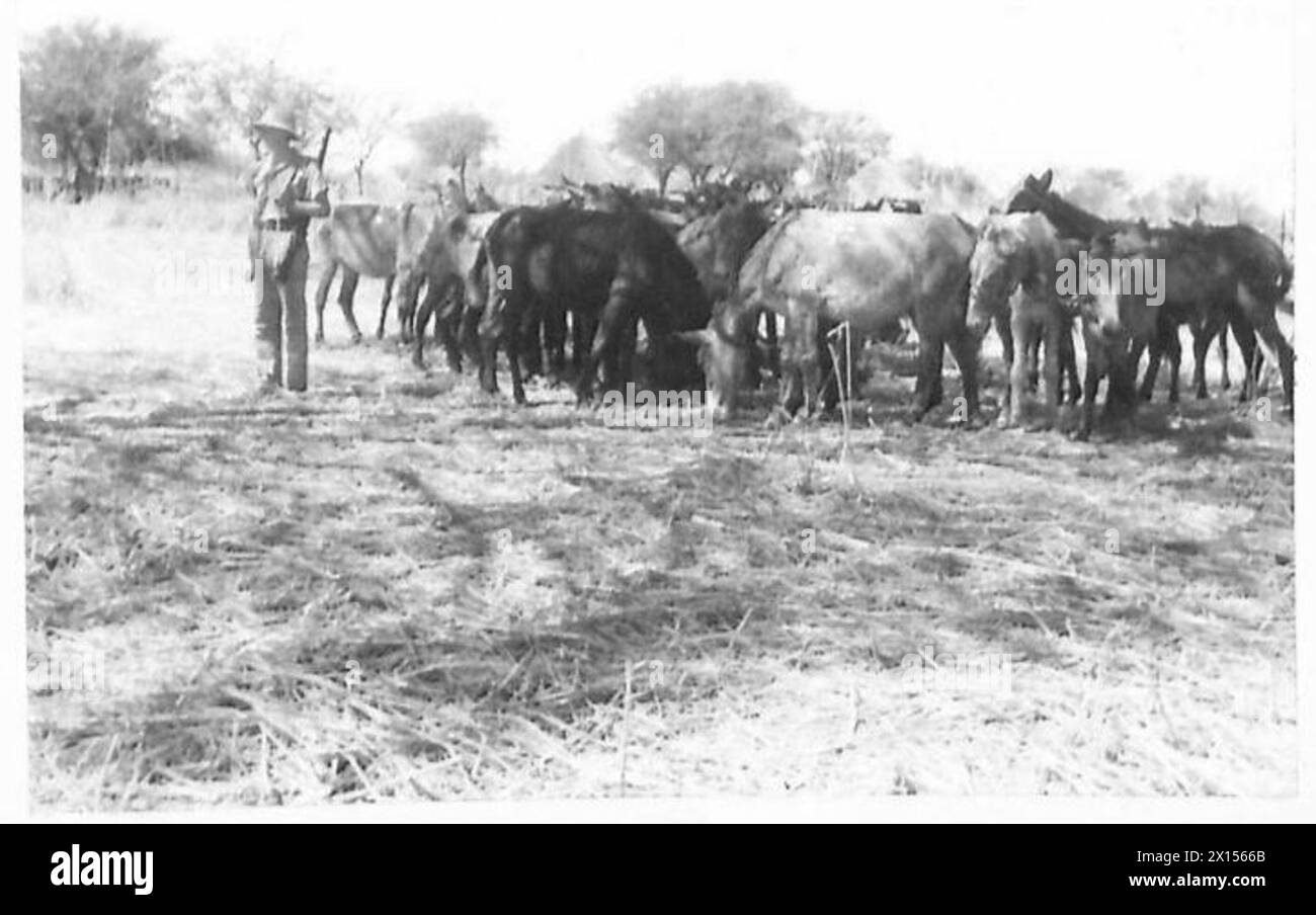 Troops captured Fort Gallabat on the Sudan-Abyssinian frontier, along ...