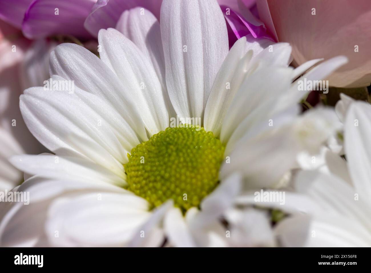 a beautiful bouquet combined with different flowers, a festive bouquet ...
