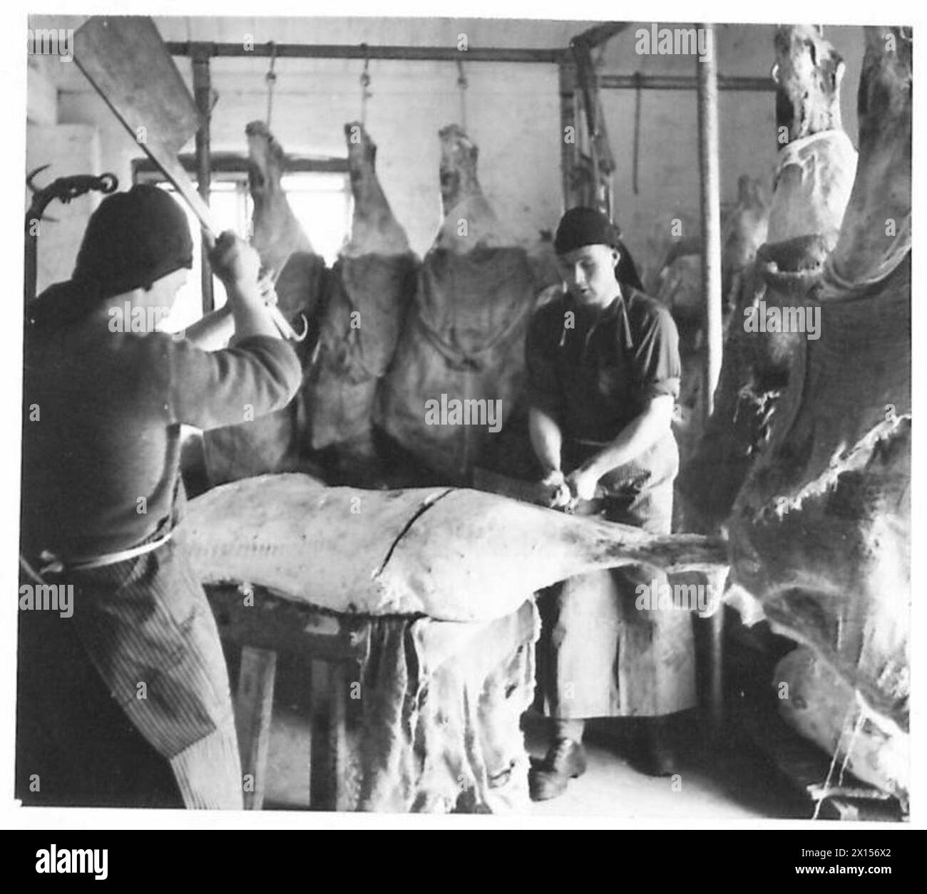 Royal Army Service Corps personnel process meat in the butchery ...