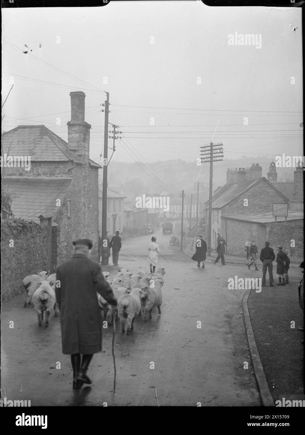 Bampton devon village hi-res stock photography and images - Alamy
