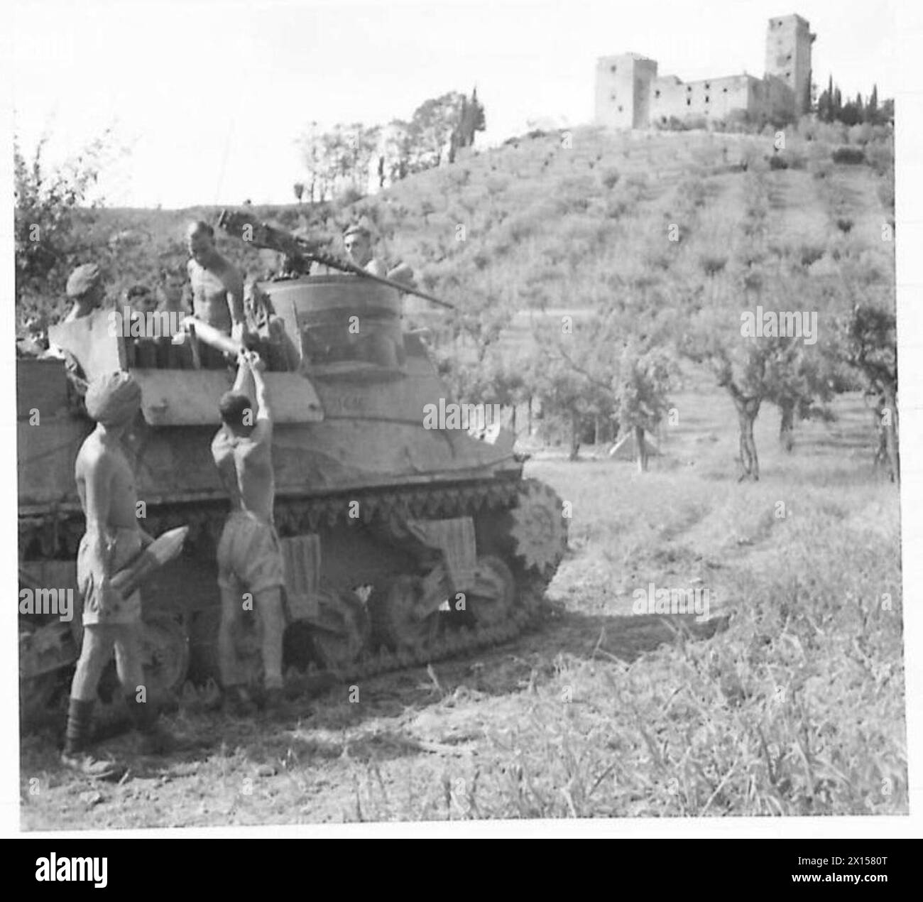 12 shells Cut Out Stock Images & Pictures - Alamy