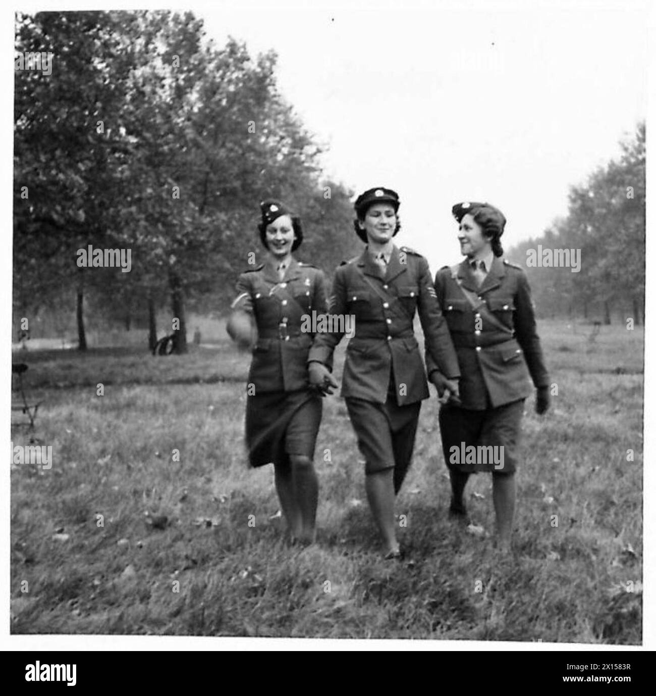 Own field Cut Out Stock Images & Pictures - Alamy