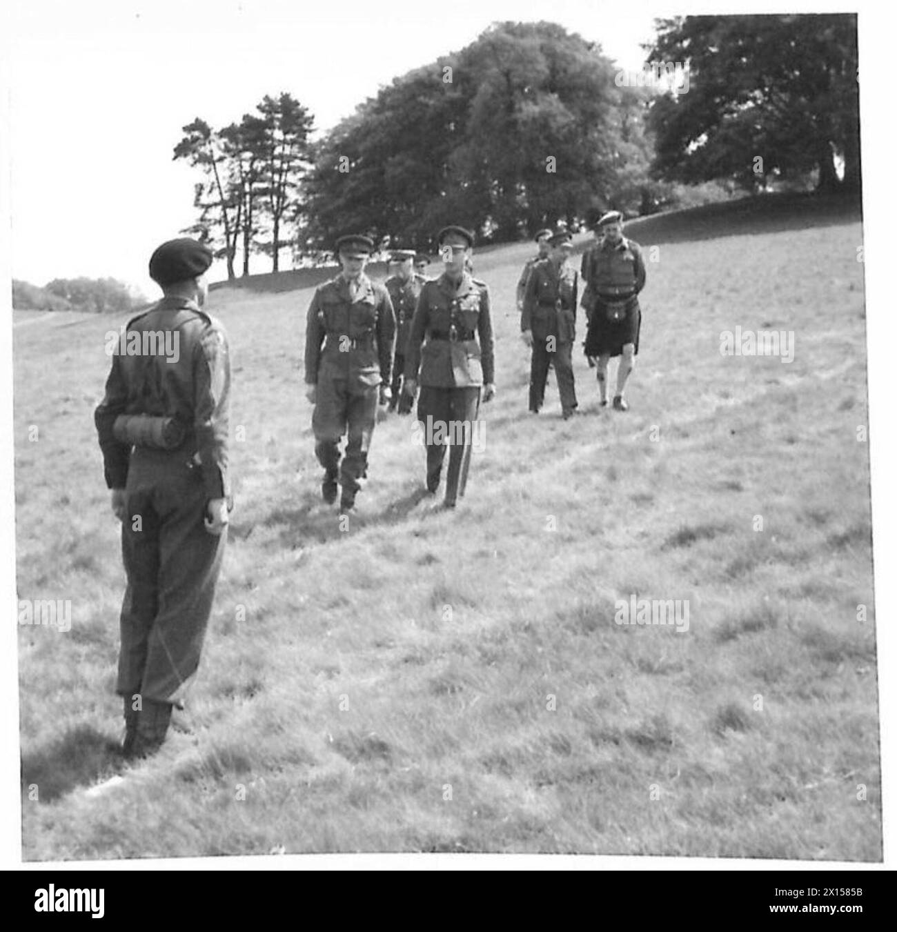 Aird Cut Out Stock Images & Pictures - Alamy