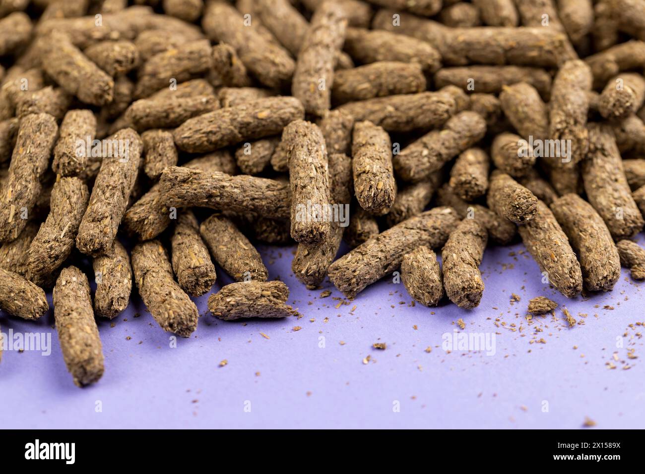 combined food for rodent pets, combined healthy food for rodent ...